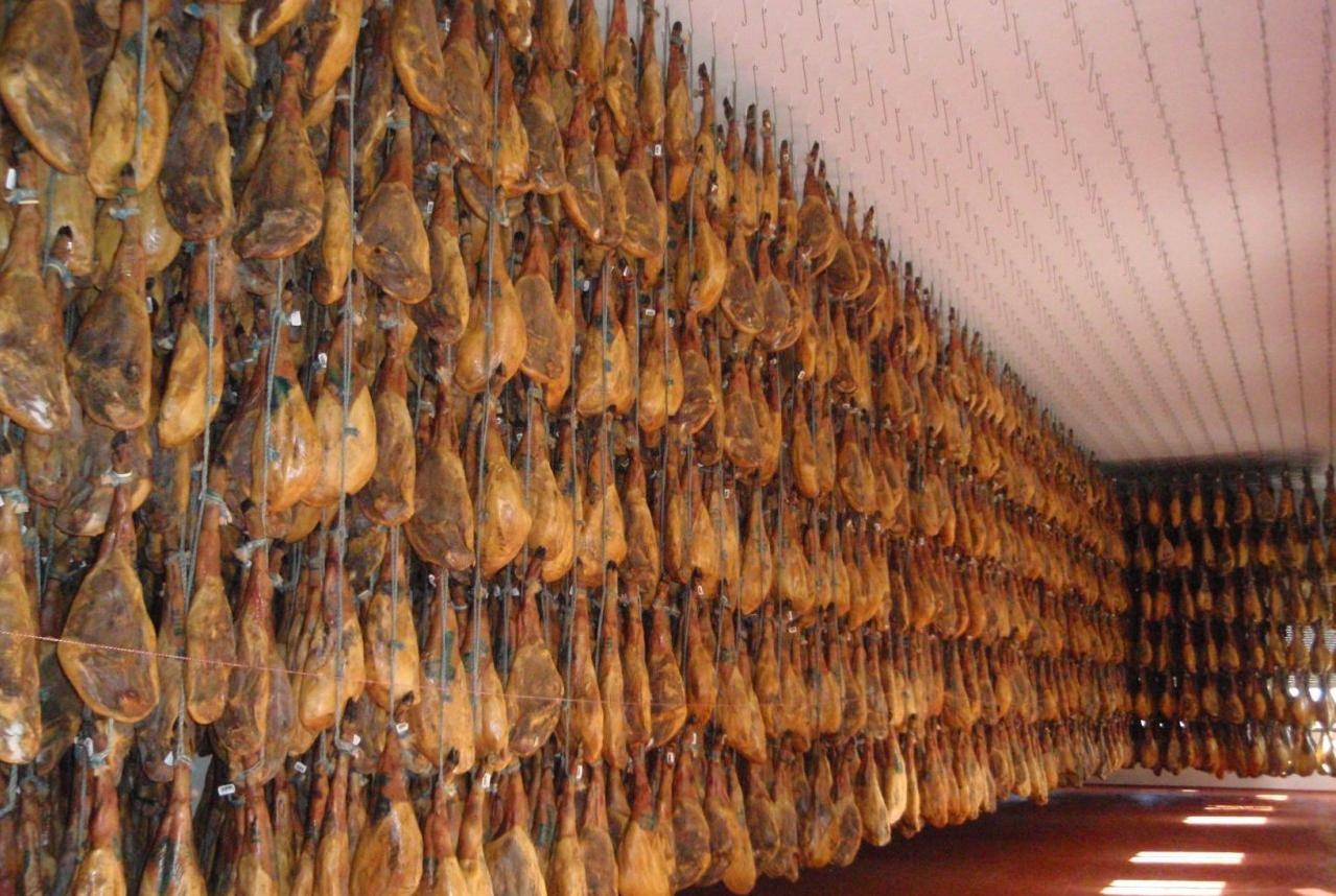 Ruta del Jamón, culto al cerdo ibérico