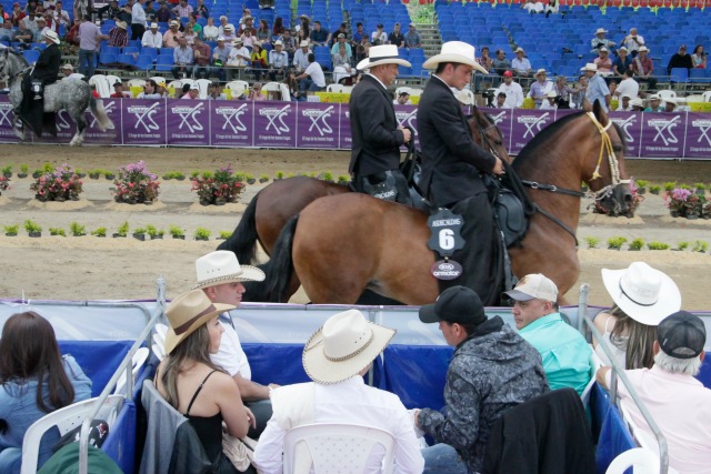 El trote y el galope se escucharon en las pistas